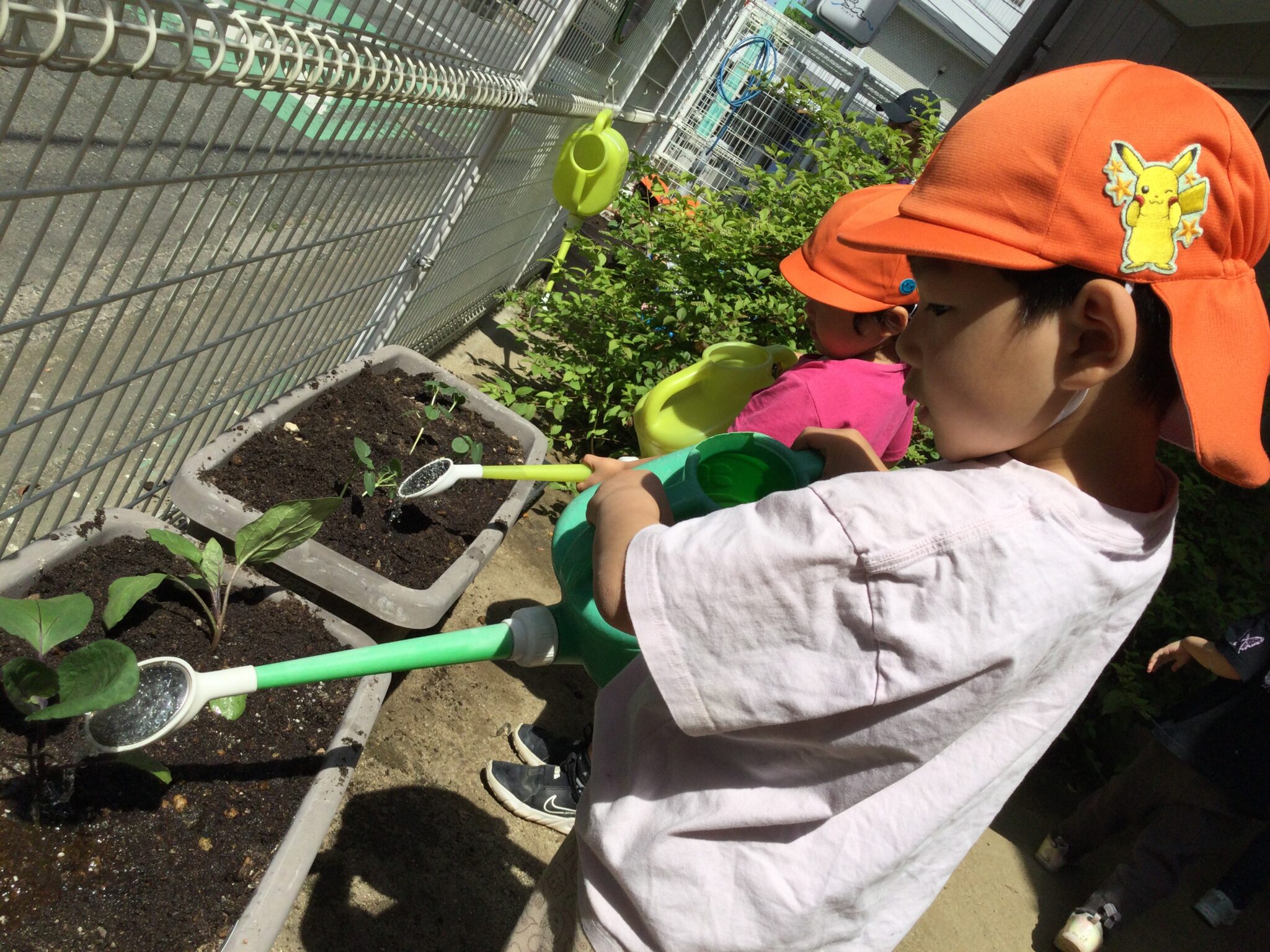 5月 夏野菜🥒 ふれあい遊び〽 | 松翠保育園